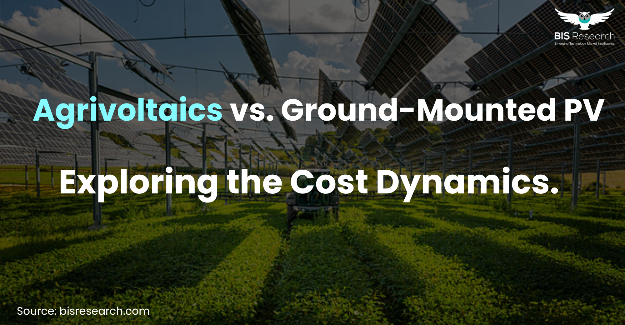 Agrivoltaics vs. Ground-Mounted PV: Exploring the Cost Dynamics